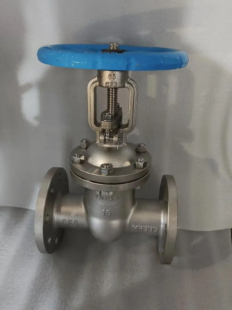 Differences Between Specialized Liquid Chlorine Valves and Other Types ...